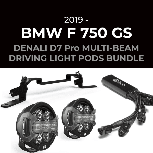 BMW R 1250 GS '18-23' Bundle with DENALI D2 LED Light Pods - Hex Innovate